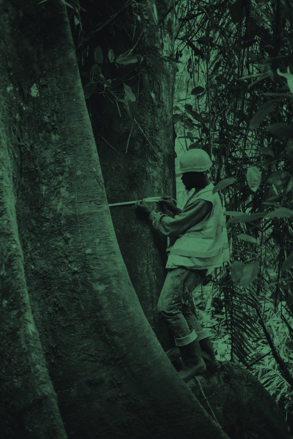 Qui sommes-nous ? | GROUPE ROUGIER