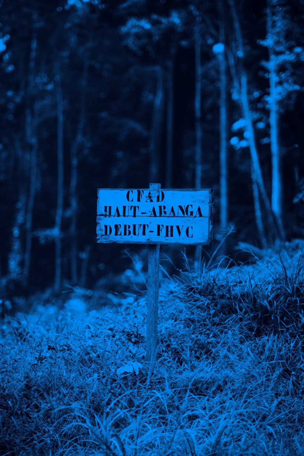 Qui sommes-nous ? | GROUPE ROUGIER