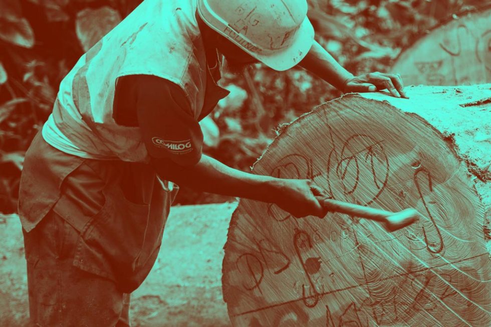 Notre histoire | GROUPE ROUGIER