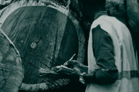 Notre histoire | GROUPE ROUGIER