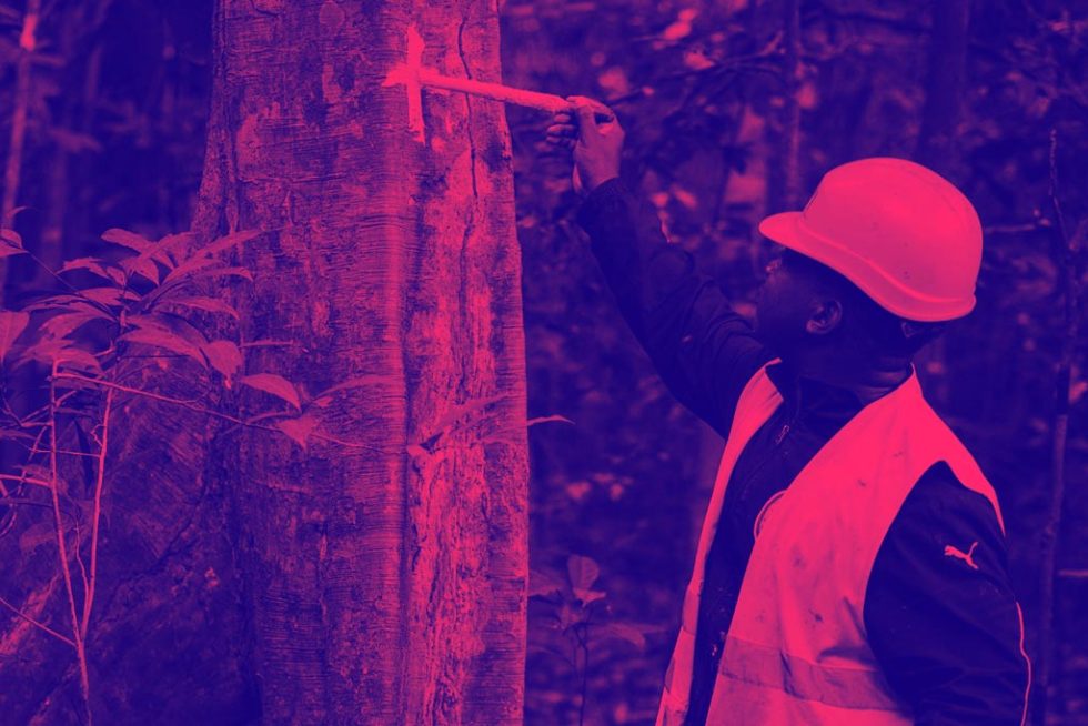 Notre histoire | GROUPE ROUGIER