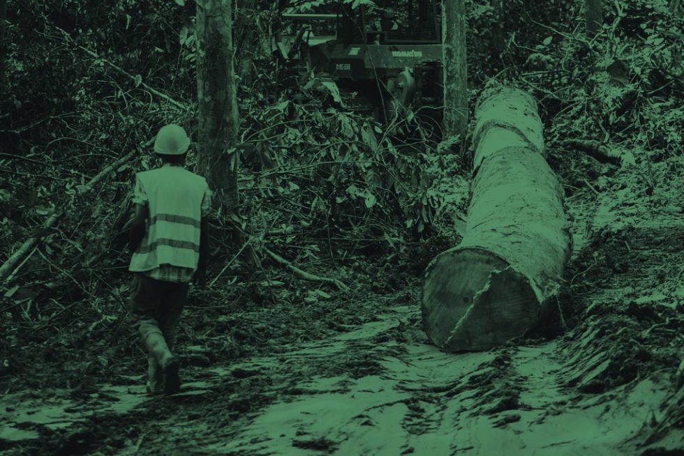 Notre histoire | GROUPE ROUGIER