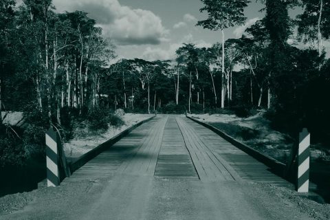 Notre histoire | GROUPE ROUGIER