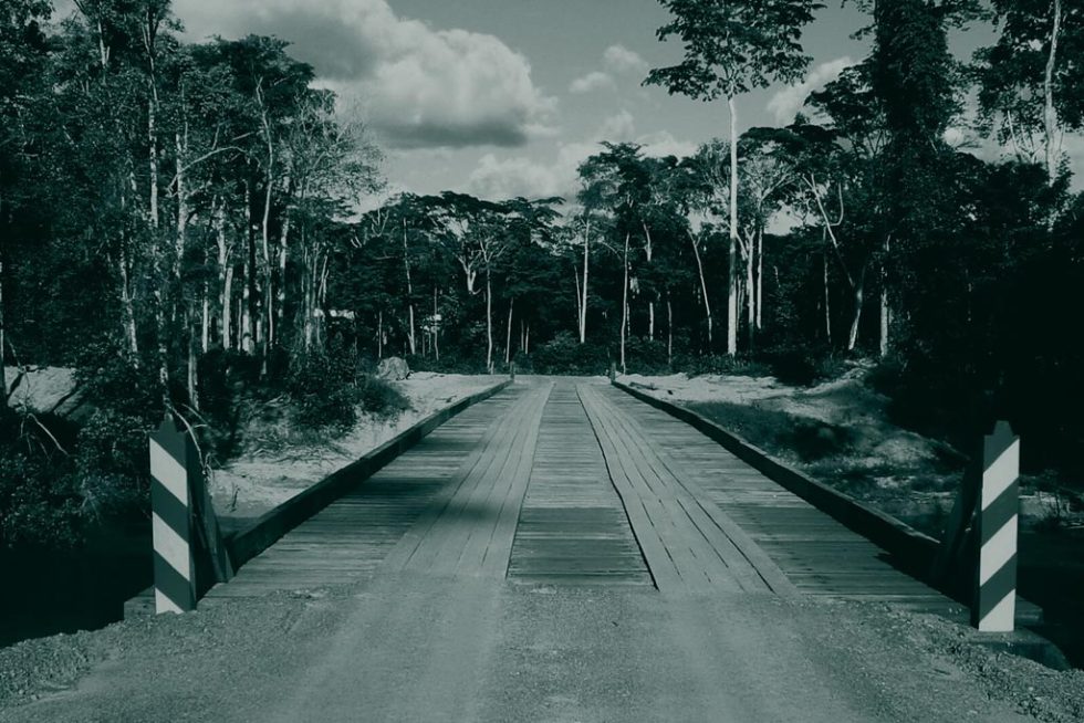 Notre histoire | GROUPE ROUGIER