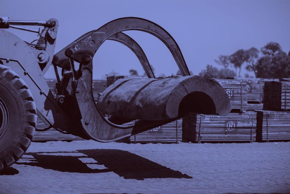 Our story | GROUPE ROUGIER